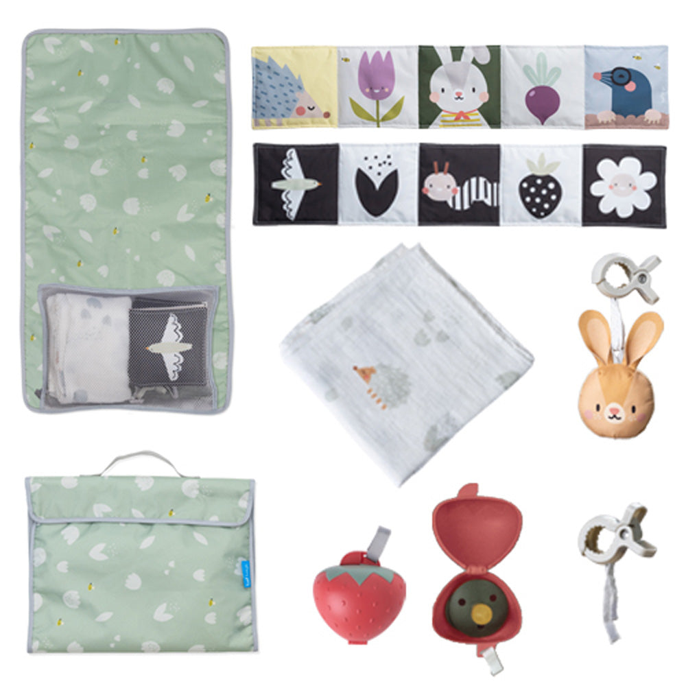 Taf Toys Newborn Outdoor Kit – Paveels