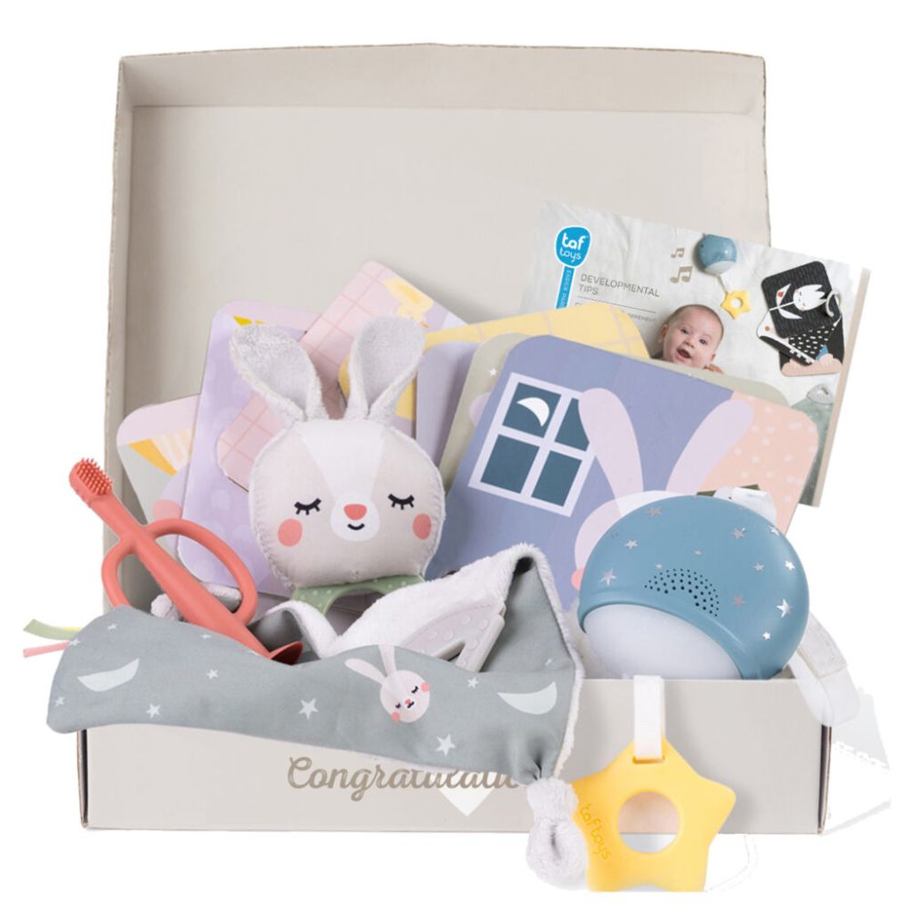 Taf Toys Bedtime Kit – Paveels