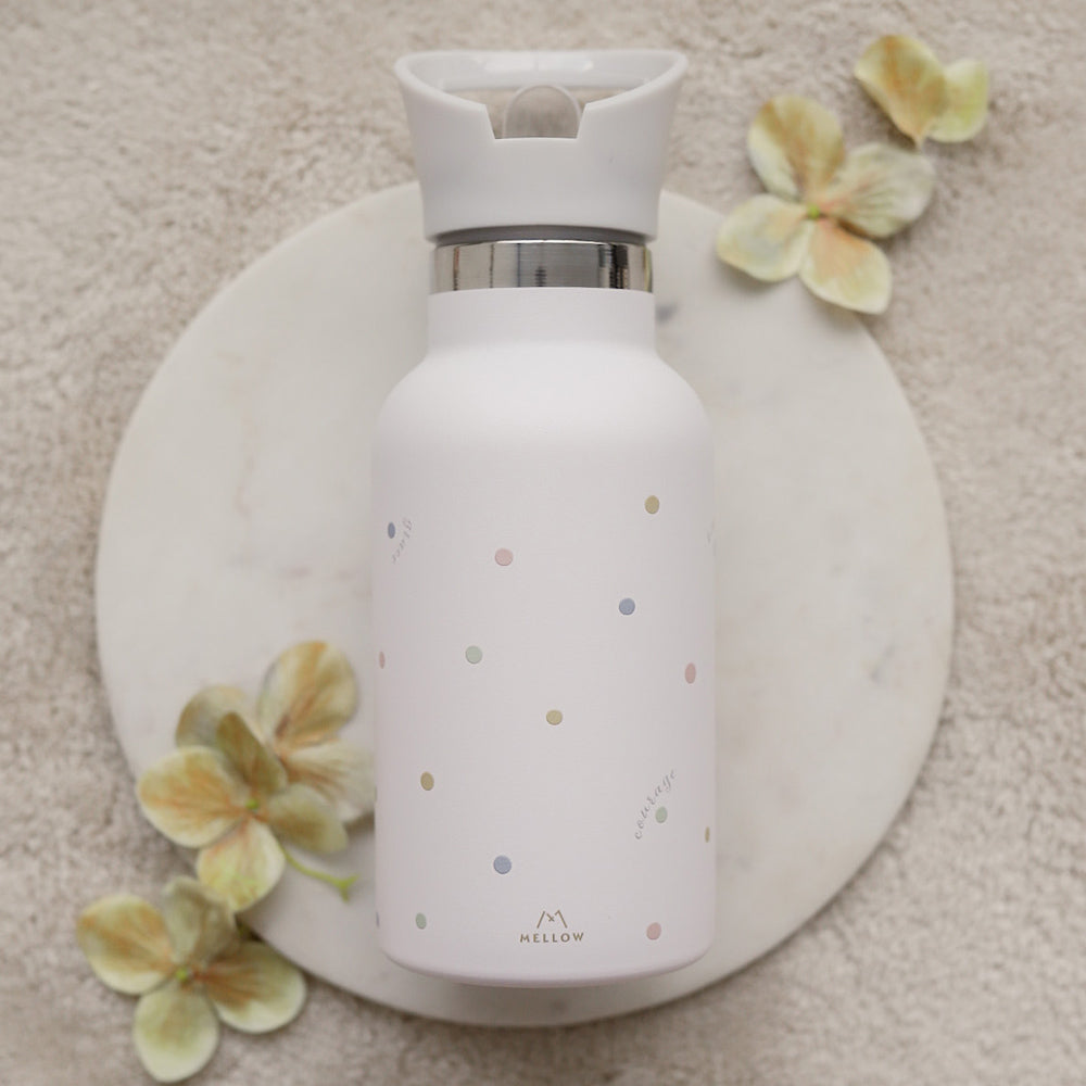 Mellow Stainless Steel Thermo Flask – Paveels
